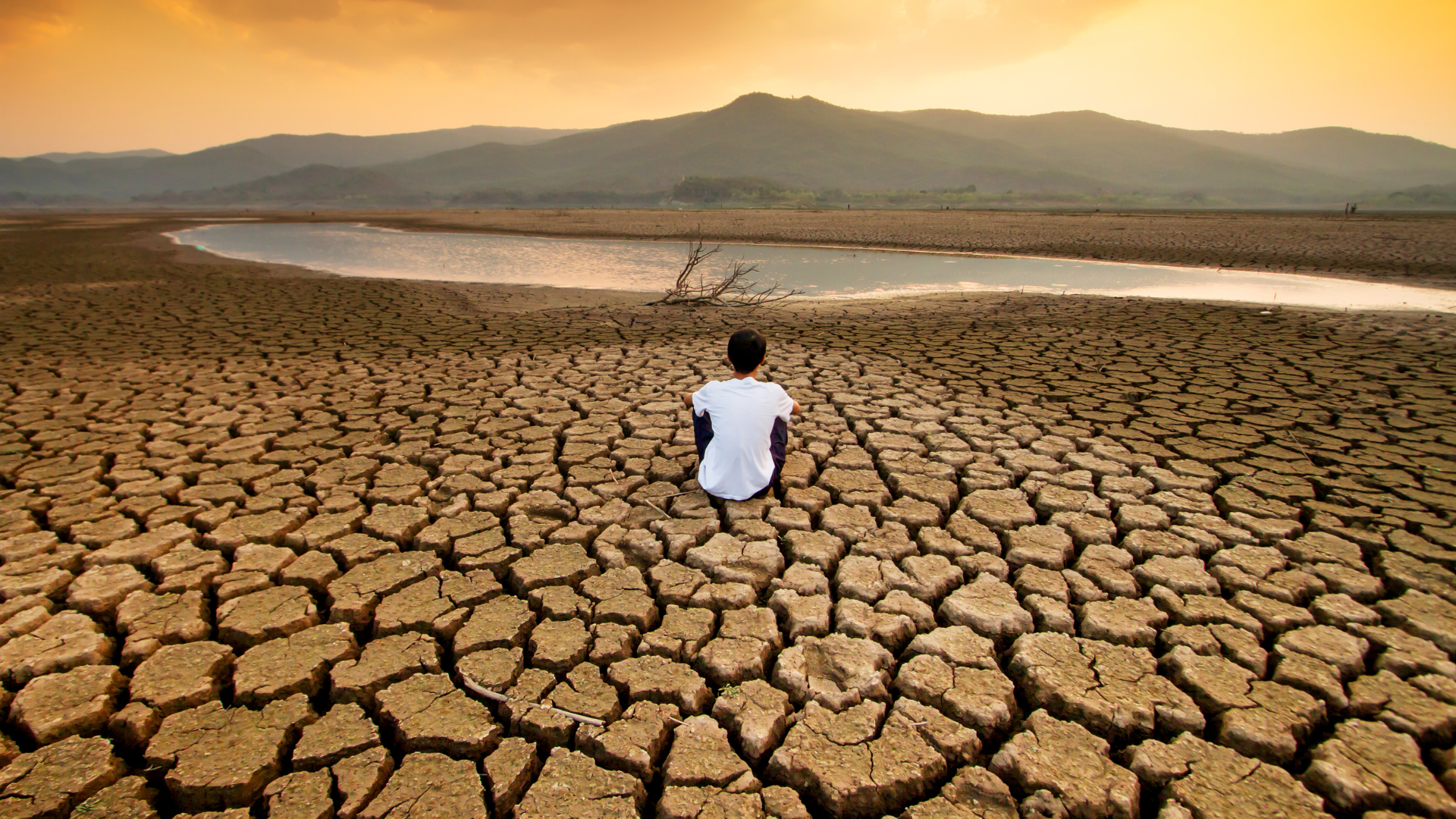 The Price on Life: Climate Change’s Impact on Racial and Ethnic ...